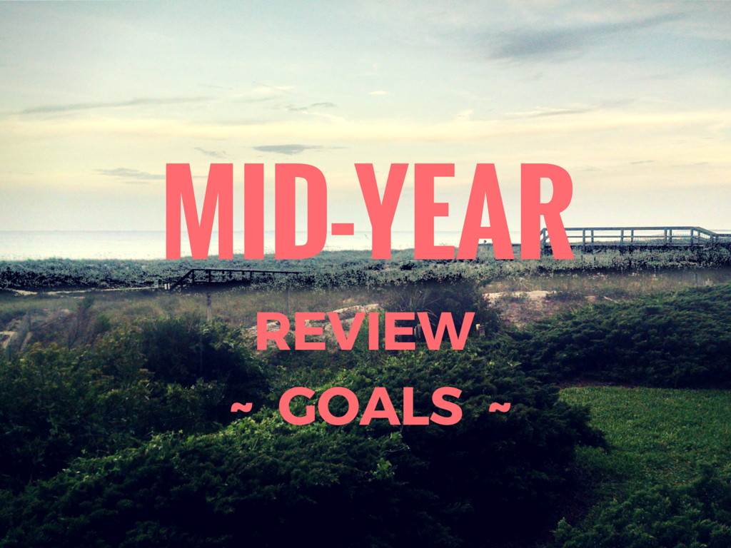 Have you completed your mid-year review? (Part 1 – Goals) – David Marques