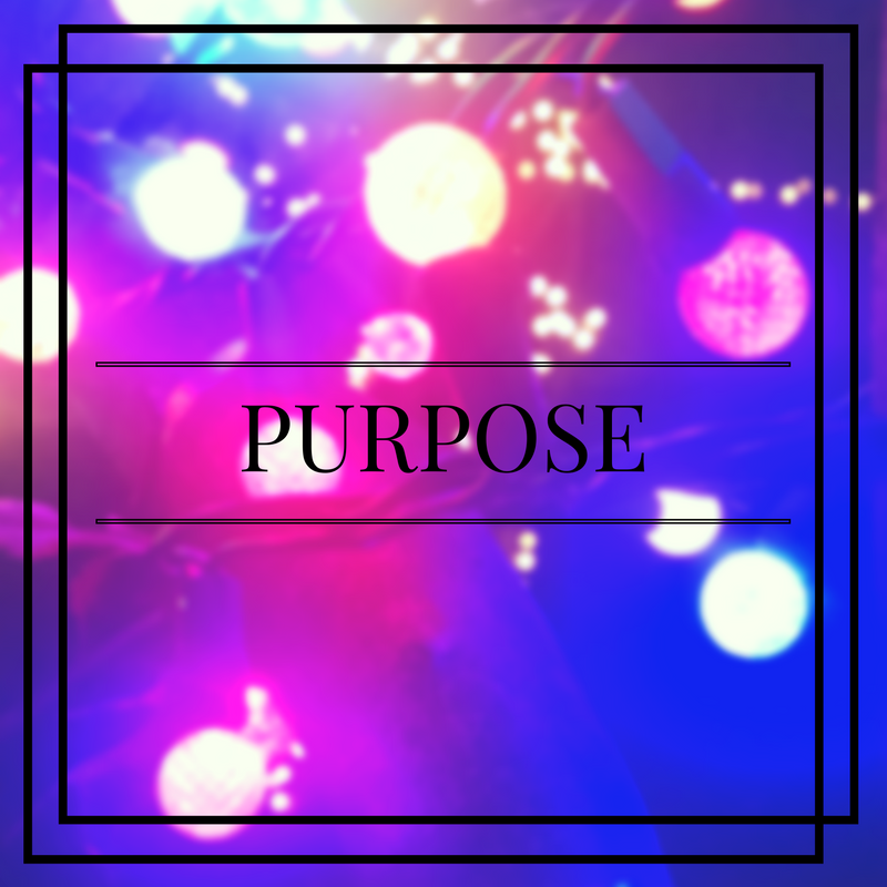 Choosing purpose – David Marques